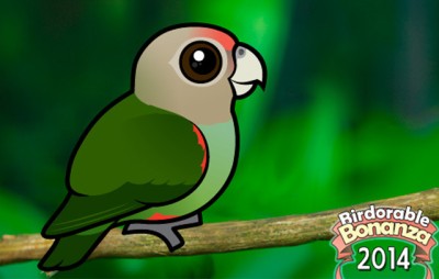 How Old Would You Be in Bird Years? Bird Ages vs. Human Ages