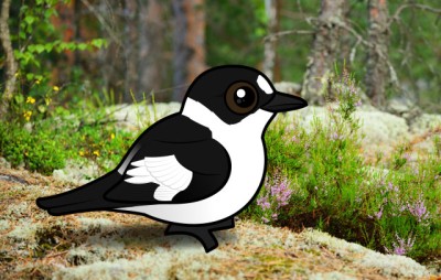 Birdorable #99: The Common Kestrel