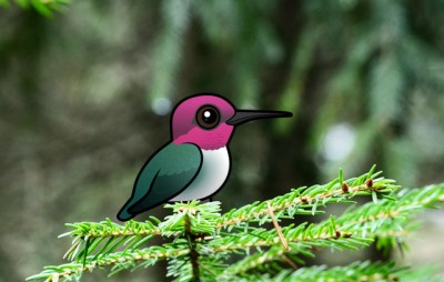 Cute Bee Hummingbird from Birdorable: The Smallest Bird