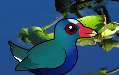 Birdorable 200: Dodo