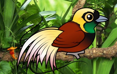 How Old Would You Be in Bird Years? Bird Ages vs. Human Ages