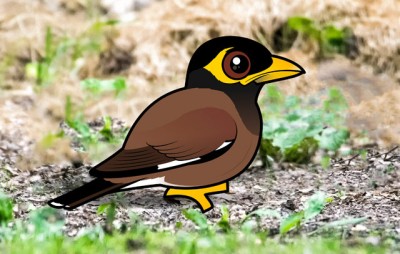 Kingfisher Week Kicks Off at the Birdorable Blog