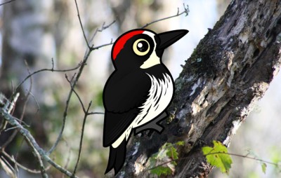 Learn your ABCs with Birdorable