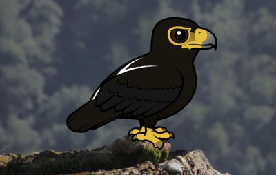 Bonanza Bird #18: Ferruginous Hawk