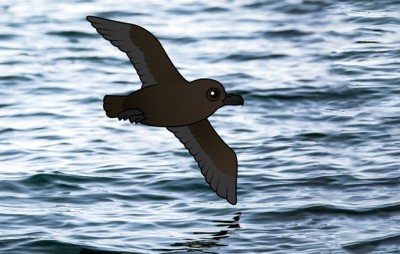 Birdorable #99: The Common Kestrel