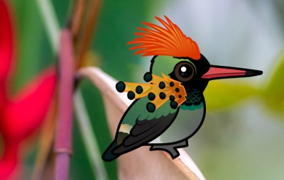 Understanding Bird Casques: Nature’s Remarkable Adaptation