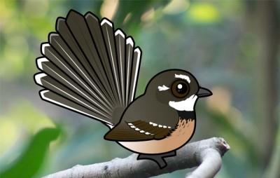 What is a Brood Patch? Why and When Do Birds Have Them?