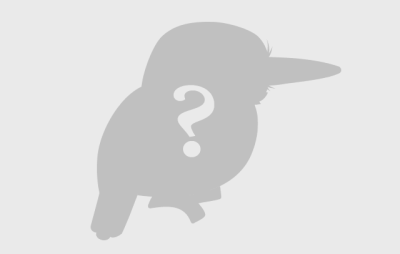 List of Fun Facts About Chickadees by Birdorable