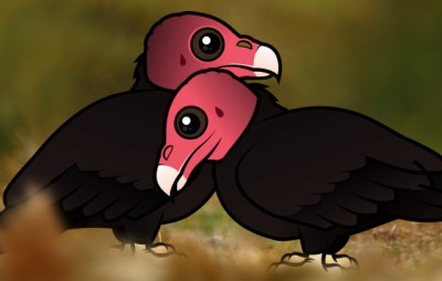 Cloaca in Birds: Purpose and Function - Birdorable Blog