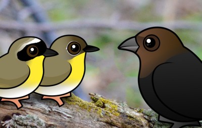 Birdorable 200: Dodo