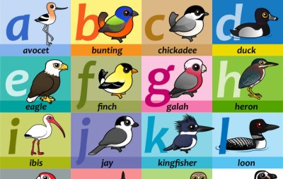 Bonanza Bird #22: Eurasian Eagle-Owl