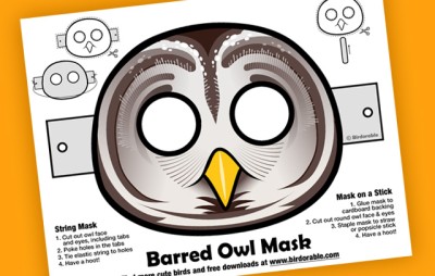 Cute Barn Owl by Birdorable