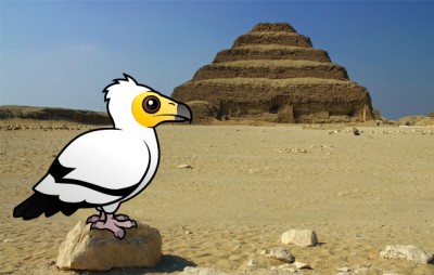 Cute Egyptian Vulture by Birdorable