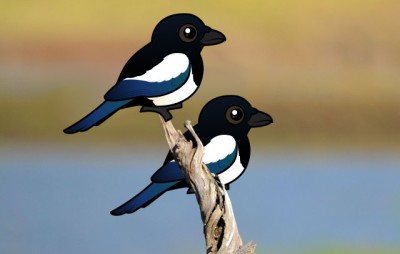 Cute Eurasian Magpie by Birdorable