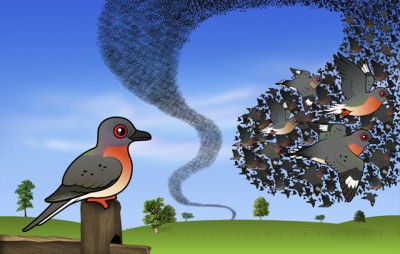 Cute Passenger Pigeon by Birdorable
