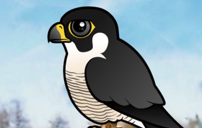 Cute Peregrine Falcon by Birdorable