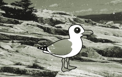 Cute California Gull by Birdorable