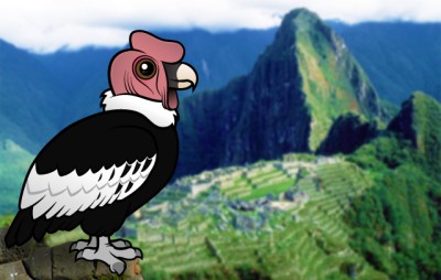 Cute Andean Condor by Birdorable