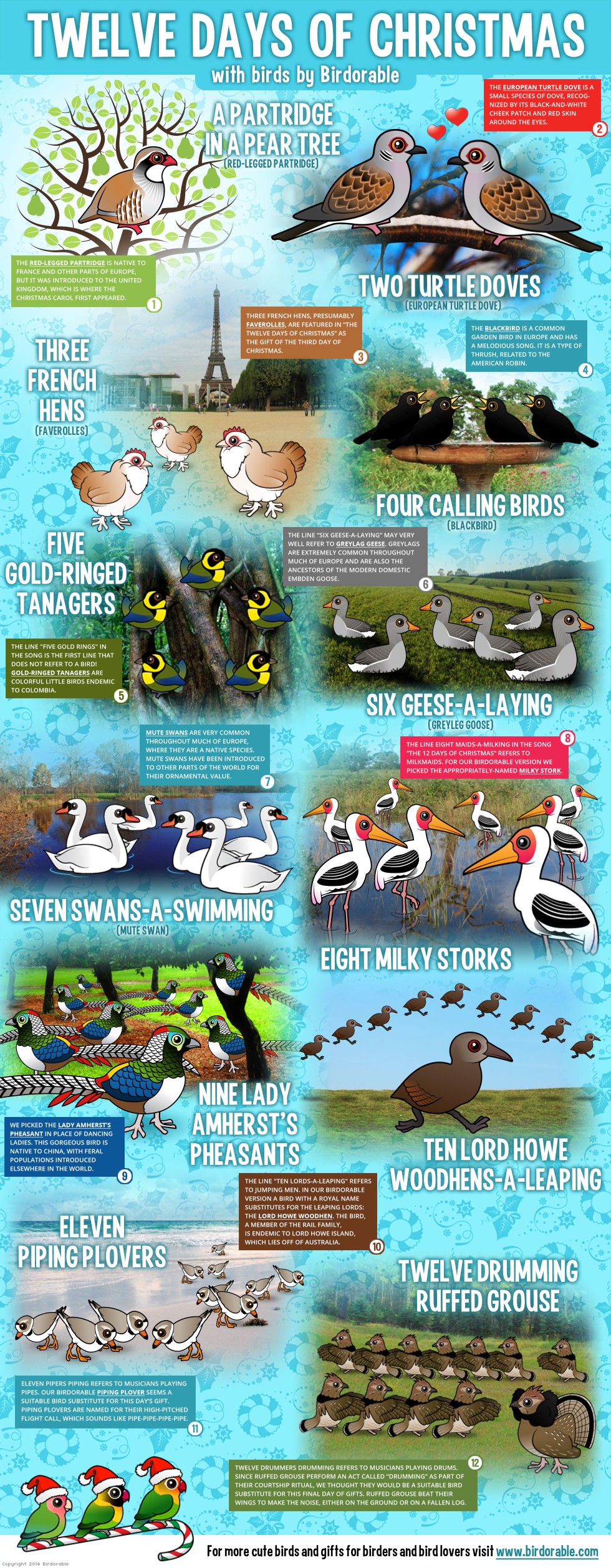12 Days of Christmas with Birdorable Birds