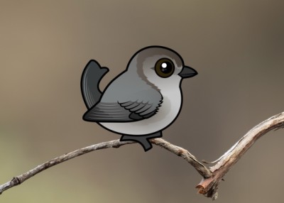 Meet the Bushtit: Tiny Acrobatic Songbird | Birdorable Bird