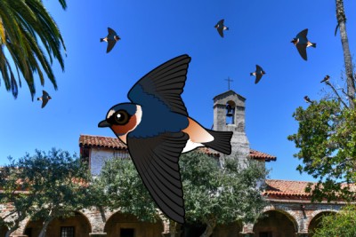 Cute Cartoon Cliff Swallow Gifts & Info from Birdorable