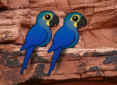 Birdorable Indigo Macaw | Bird Facts & Cute Gifts