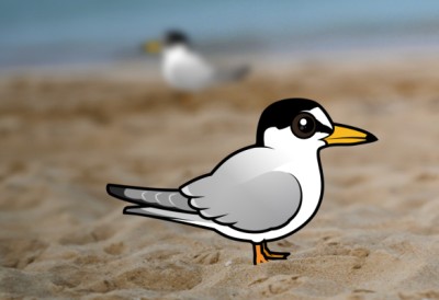 Cute Little Tern by Birdorable & Find Gifts for Birders