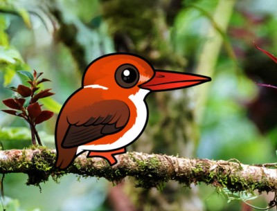 Meet the Birdorable Madagascar Pygmy Kingfisher