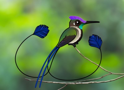 Meet the Cute Marvelous Spatuletail of Peru | Birdorable Birds