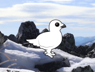 Cute Willow Ptarmigan by Birdorable