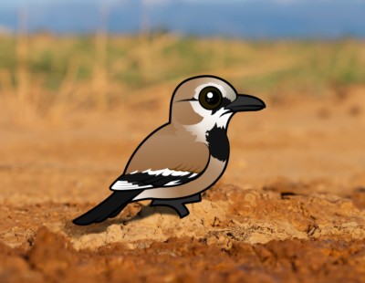 List of Fun Facts About Chickadees by Birdorable