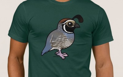 Meet the Cute & Charming California Quail | Birdorable Birds