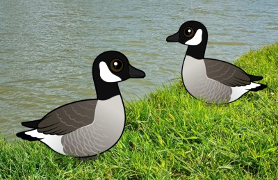 Cute Canada Goose by Birdorable