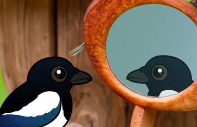 Cute Eurasian Magpie by Birdorable