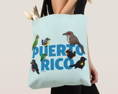 Learn About the Critically Endangered Puerto Rican Amazon | Birdorable