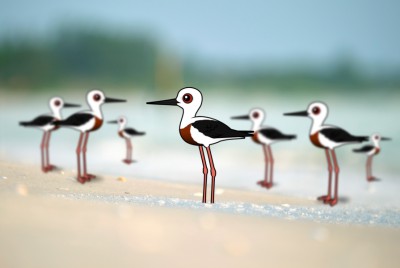 Cute Black-necked Stilt by Birdorable