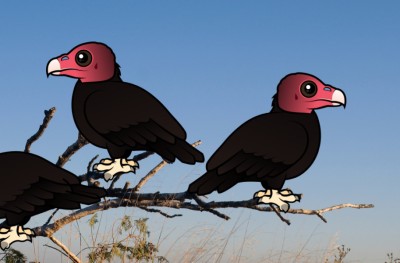 Cute Turkey Vulture by Birdorable