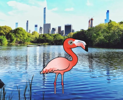Meet the Vibrant American Flamingo by Birdorable | Meet the Birds