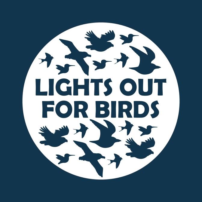 Birdorable Blog - Bird News, New Species & Fun Stuff