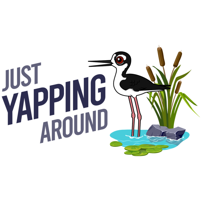 Birdorable Design Spotlight: Just Yapping Around