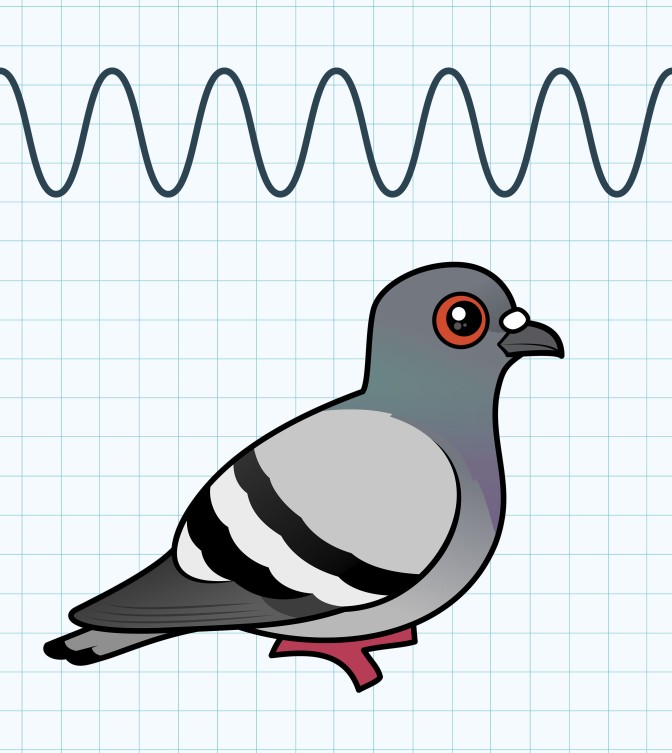 The Hidden Ears of Birds: How Avian Hearing Works