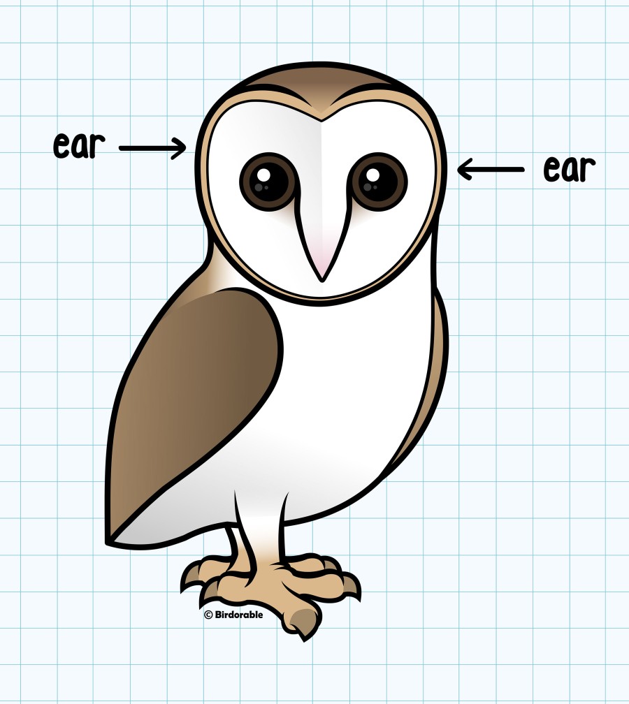 Blog Archive November 2025 - Birdorable Blog