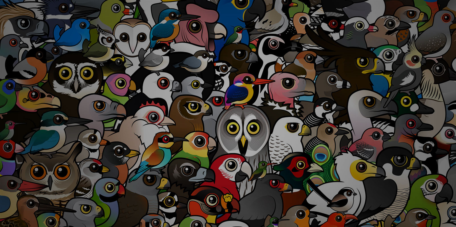 Birdorable – Unique Cute Bird Gifts & T-Shirts for Bird Lovers