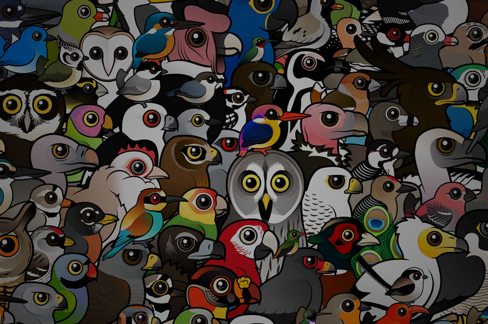 Birdorable – Unique Cute Bird Gifts & T-Shirts for Bird Lovers