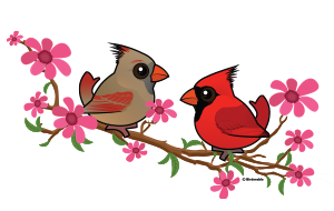Birdorable Shop - T-Shirts & Gifts with Cute Birds