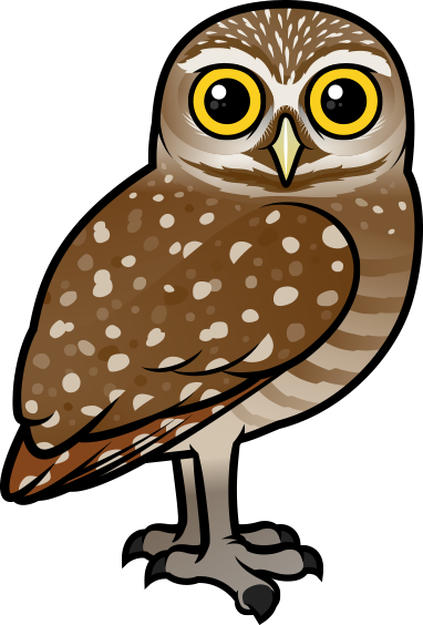 Birdorable – Unique Cute Bird Gifts & T-Shirts for Bird Lovers
